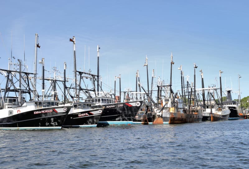 Studies and Reports - Port of New Bedford
